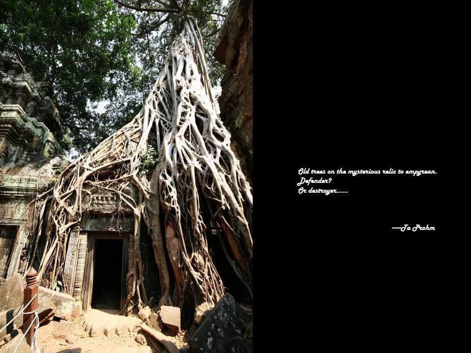 សូមស្វាគមន៍មកកាន់ព្រះរាជាណាចក្រកម្ពុជា AMS Central