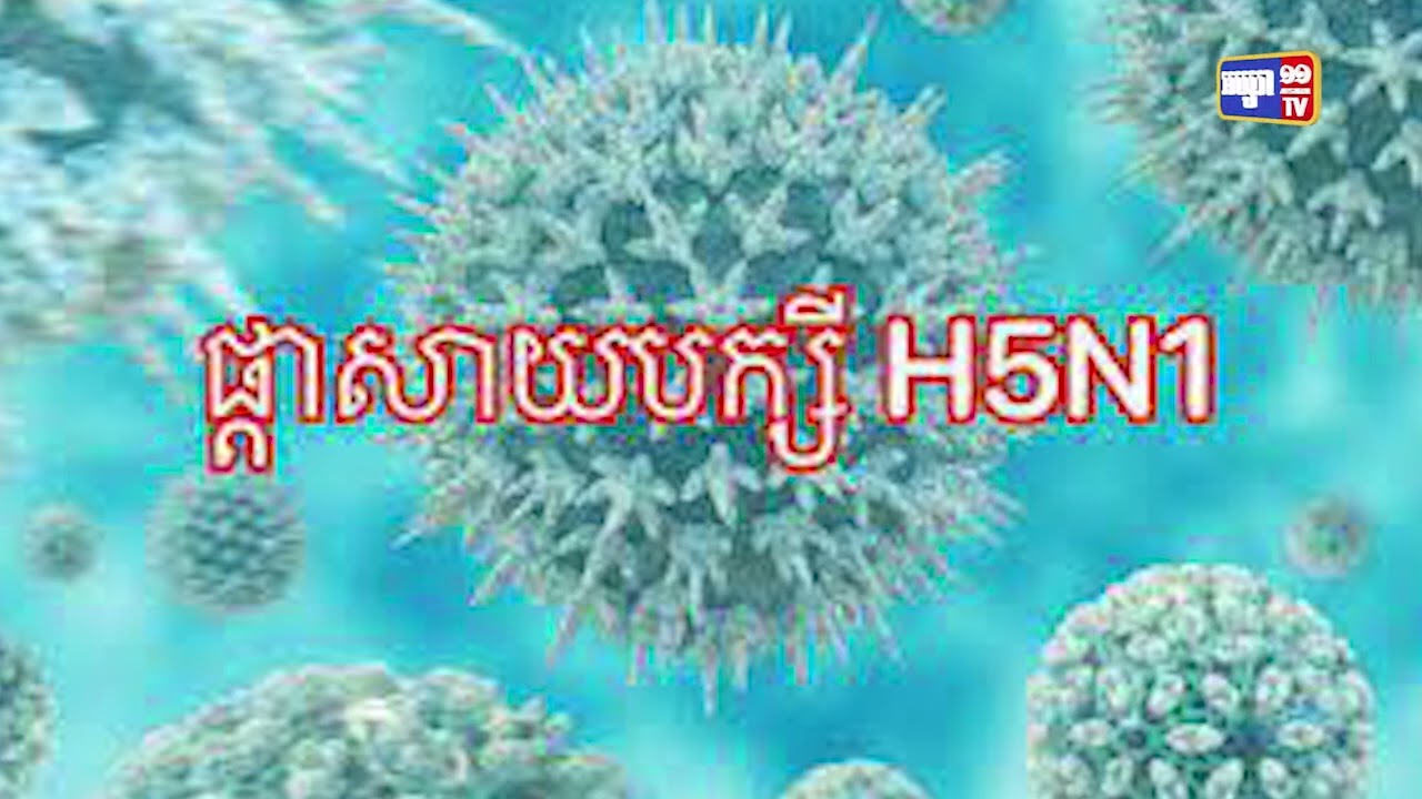 អភិបាលស្រុកស៊ីធរកណ្តាលថ្លែងថា កុមារីស្លាប់ដោយសារ H5N1 ...