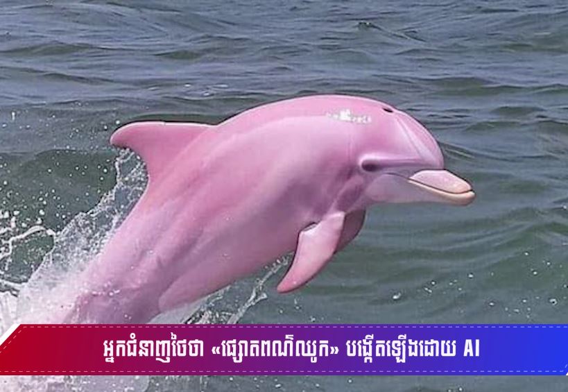អ្នកជំនាញថៃថា «ផ្សោតពណ៌ឈូក» បង្កើតឡើងដោយ AI AMS Central